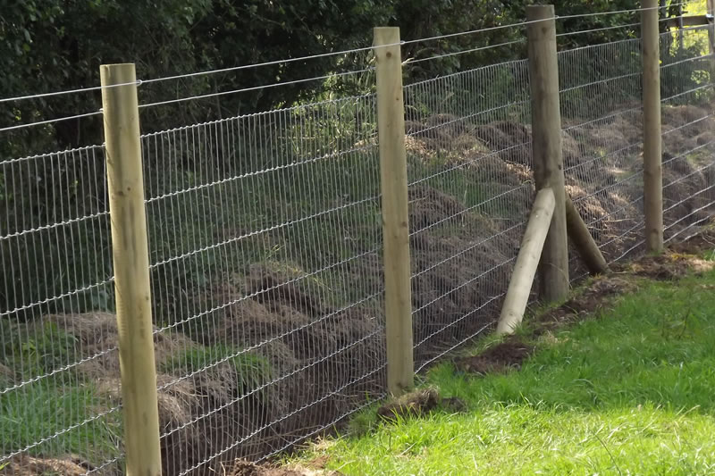 Bio Security - Honeyfield Alpacas