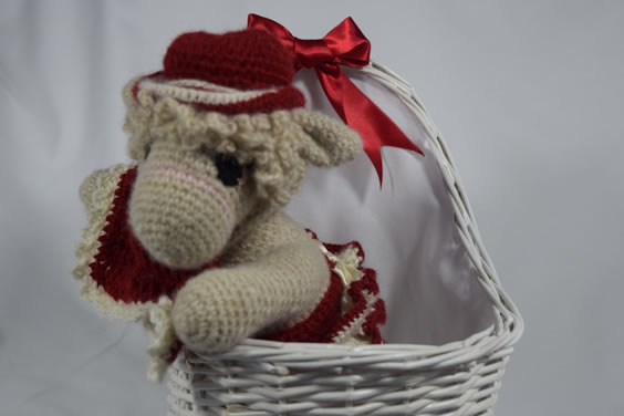 New Alpaca Website Launch, Honeyfield Alpacas,